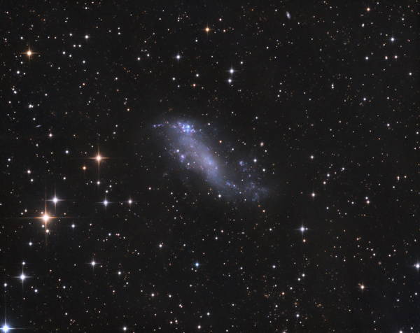 Dwarf galaxy IC 2574 - Coddington nebula - Experienced Deep Sky Imaging ...