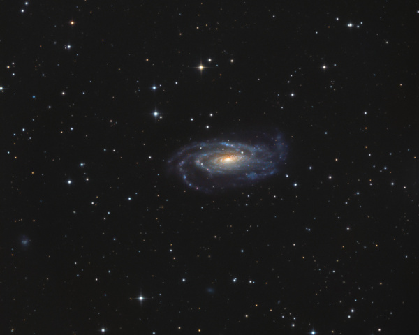 NGC 5033 Galaxy - Experienced Deep Sky Imaging - Cloudy Nights